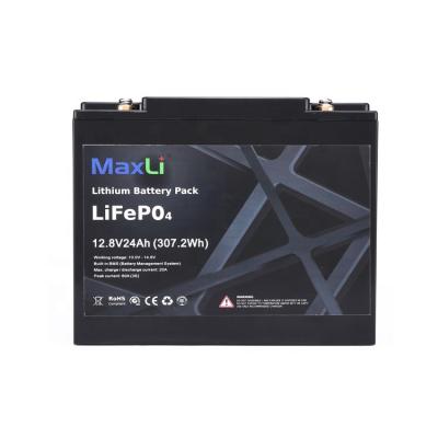 Cina Litio profondo ricaricabile Ion Battery di volt 24Ah del ciclo 12 in vendita