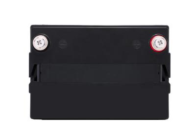 中国 460Wh 2000はBMS 12のボルト36AhのリチウムRV電池を循環させる 販売のため