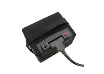 Cina BMS 307.2Wh 24Ah una batteria al litio da 12 volt per il carretto di golf in vendita