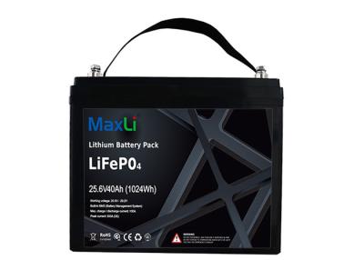 Cina M6 batteria al litio del terminale Rs232 24V 40Ah Bluetooth in vendita
