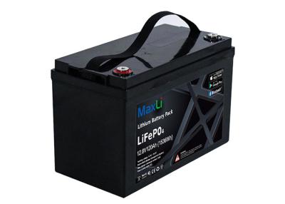 Cina Batteria al litio MSDS della cassa 1536Wh 12V 120Ah Bluetooth dell'ABS in vendita