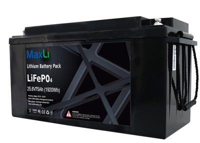 Cina ODM dell'OEM della batteria al litio di ISO9001 1920Wh 25.6V 75Ah Lifepo4 in vendita