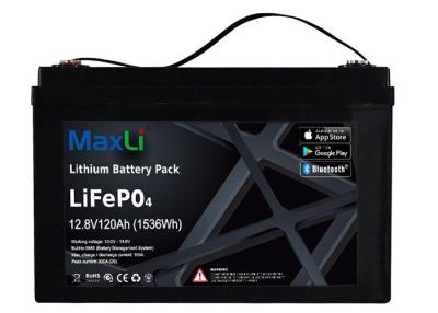 Cina Ciclo profondo della batteria al litio di volt 120Ah di Smart Bluetooth 1536Wh 12 in vendita