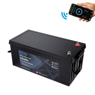 Cina Cassa portatile dell'ABS del pacchetto IP56 della batteria al litio del App 200Ah 12V di Bluetooth in vendita
