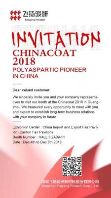 Cina Riunione voi in Canton Chinacoat2018 dal quarto, dicembre al sesto, dicembre in vendita