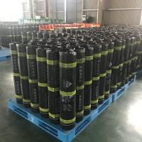 Quality SBS/APP Plastic Elastomer Modified Asphalt Waterproof Membrane for Roof and for sale