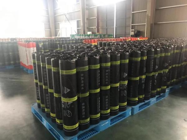 Quality SBS/APP Plastic Elastomer Modified Asphalt Waterproof Membrane for Roof and for sale