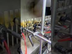 Introduce Automatic UV Spraying  Line With Double Doors PVD Vacuum Machine For You