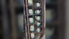 White ceramic teapot with vacuum coating and film layer applied