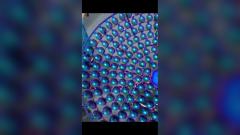 Vacuum-coated optical lens coating