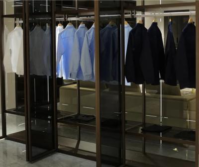 China Easy To Clean Glass Bedroom Wardrobes Modern Wardrobe Closet Exquisite Design for sale