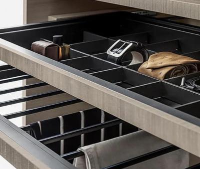 China High Durability Custom Modern House Wardrobes For Unique Storage Needs for sale