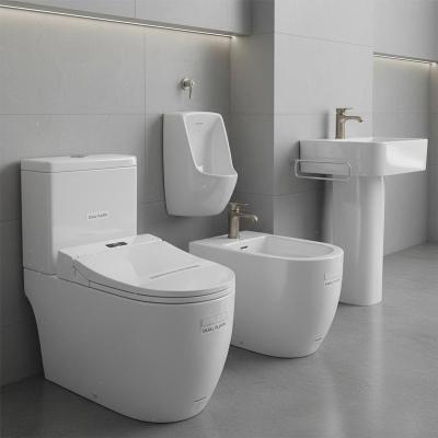 China Ceramic Bathroom Sanitary Wares with Automatic Flip Function and 304 Stainless Steel Bracket for 5-Year Warranty Durability for sale