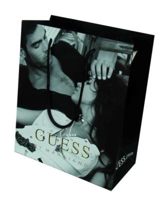 China Matte / Gloss Lamination Paper Bags for Clothes , Shopping Gift Bag for sale