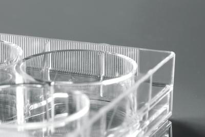 Cina 6 bene piatti di coltura cellulare di 9.5cm per il laboratorio P3 in vendita