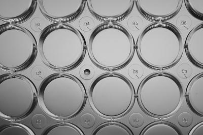 Cina 6 bene piatti di coltura cellulare di 9.5cm per il laboratorio P3 in vendita