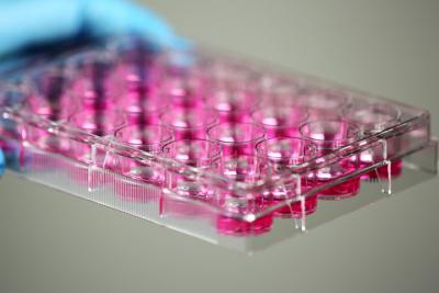 Cina 6 bene piatti di coltura cellulare di 9.5cm per il laboratorio P3 in vendita