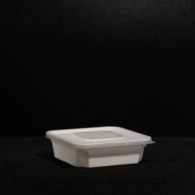 Cina Scatola da pranzo in PP monouso a prova di perdite per i viaggi e i pasti in viaggio in vendita