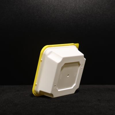 Cina Scatola da pranzo in plastica PP con tappo a colori personalizzato in vendita