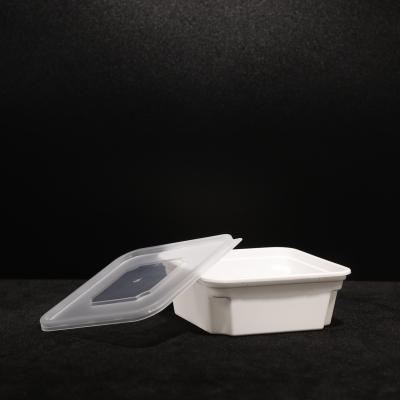中国 立方形 積み立てられるPPランチボックス 蓋付きのPP食材コンテナ 販売のため