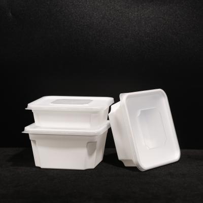 China Caixa de almoço de plástico com prova de vazamento multiuso para embalagens de alimentos à venda