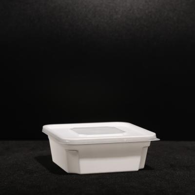 China Caixa de almoço de plástico com prova de vazamento multiuso para embalagens de alimentos à venda