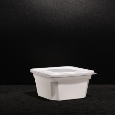 Cina Picnic PP Scatola di plastica per pranzo usa e getta con tappo per cibo caldo / freddo in vendita