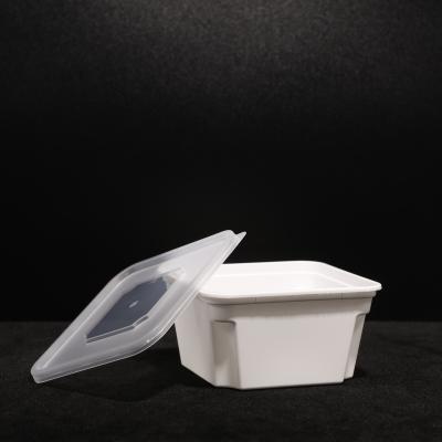 Cina Scatola da pranzo in PP per alimenti caldi e freddi con logo personalizzato in vendita