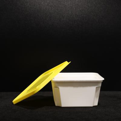 Cina Scatola da pranzo in plastica in PP a prova di perdite da 450 ml con tappo a scatto in vendita