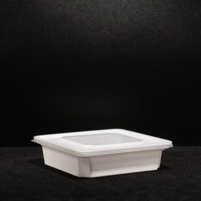 Cina Multi-purpose Snap On Lid 500ml Disposable PP Lunch Box OEM ODM Logo Stampa in vendita