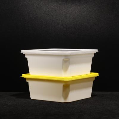 Cina Contenitore alimentare trasparente, rettangolare e impilabile, con coperchio a scatto (720 ml) per alimenti in vendita