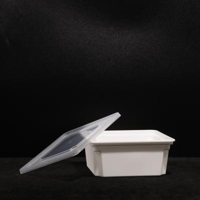 Cina Scatola di pranzo per panini in plastica in PP personalizzata con coperchio a forma rettangolare in vendita