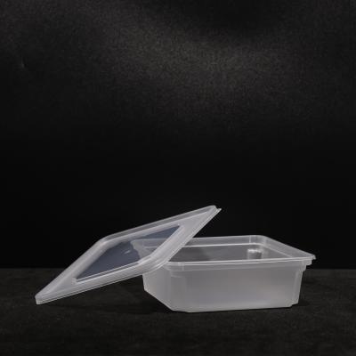Cina Scarica la scatola da pranzo PP impermeabile conveniente per la conservazione del cibo scatola di plastica da portare via in vendita