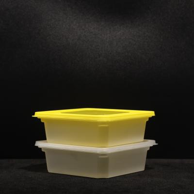 Cina Scatola da pranzo in PP multiuso Eco-friendly per sandwich e imballaggi alimentari all'aria aperta in vendita