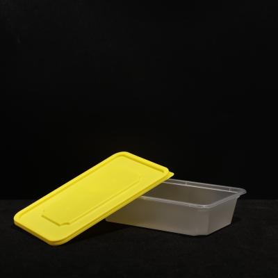 La scatola da pranzo a prova di perdite in PP di 500 ml di capacità per panini di cibo caldo e freddo