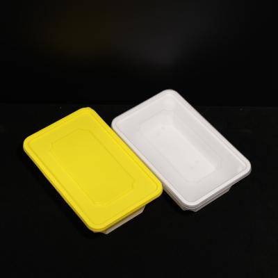 China Durable PP Lunch Box Fast Food Fruit Packaging Plastic Box Customized With Leak Proof Lid for sale