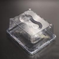 China Rectangular PET Food Container 190×155×80mm | Leak-Proof Disposable Plastic Packaging with OEM Options for sale