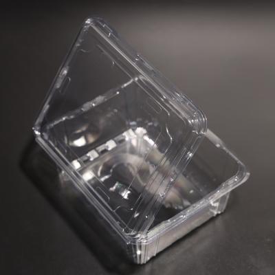 Contenitori per alimenti in plastica ecocompatibili Contenitori per la conservazione di alimenti in PET Contenitori per la conservazione di ortaggi in plastica impermeabili