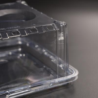 China Eco Friendly Plastic Food Container PET Food Storage Container Leak Proof Plastic Vegetable Storage Containers for sale