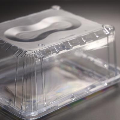 China Eco Friendly Plastic Food Container PET Food Storage Container Leak Proof Plastic Vegetable Storage Containers for sale