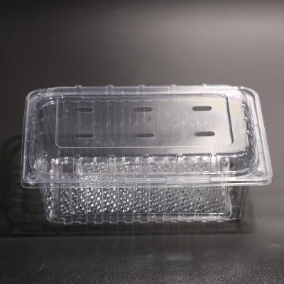 China Rectangular Disposable Plastic Food Packaging Container With Lid for sale