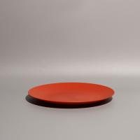 China Customized PP Plastic Food Tray 26mm BPA Free Food Grade Plate for Multipurpose Use for sale