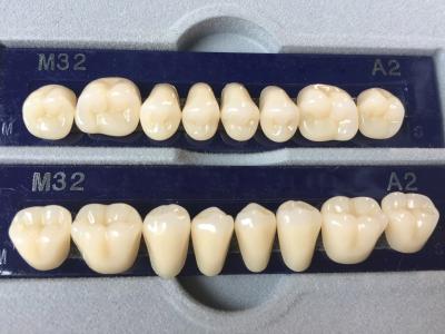 Cina Denti falsi della resina acrilica di odontoiatria del polimero acrilico dentario dentario dei denti A2 A3.5 in vendita