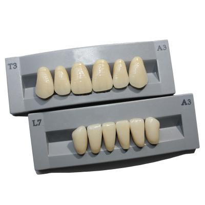 Cina Forma acrilica artificiale di VITA High Stain Impact Resistance Heraeus dei denti di alta durevolezza in vendita