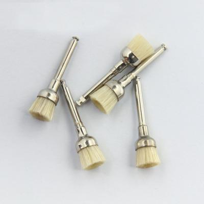China Dentes de polir eficaz com Oral Health Cup Forma Prophy Brush Bristles Duros Estilo Prenda à venda