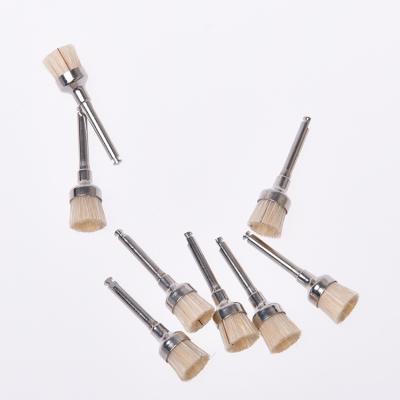 China Dentes de polir eficaz com Oral Health Cup Forma Prophy Brush Bristles Duros Estilo Prenda à venda