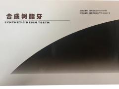 Os dentes da dentadura da resina acrílica ajustaram superfícies do reparo os dentes dentais sintéticos duros super de 2 camadas
