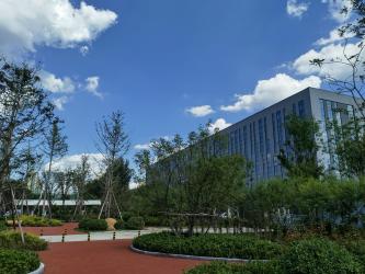 China Factory - Shijiazhuang Tonhe Electronics Technologies Co., Ltd.