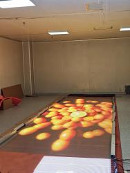 China Factory - Shenzhen Xinhe Lighting Optoelectronics Co., Ltd.