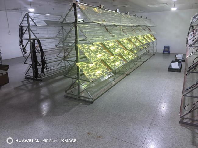 Detailed view of LED modules on transparent film